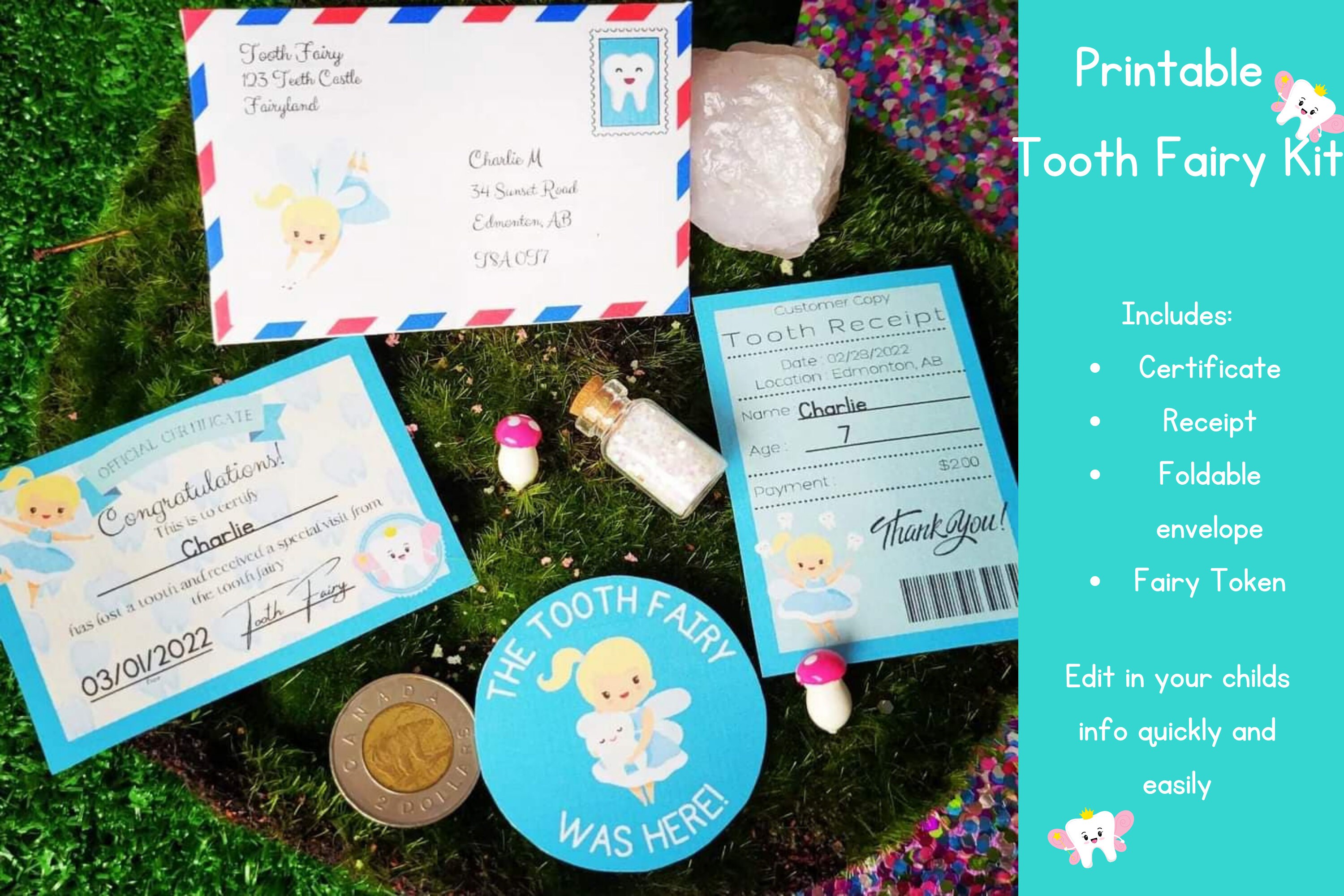 Printable Tooth Fairy Kit PDF Printable INSTANT EDITABLE Personalized ...
