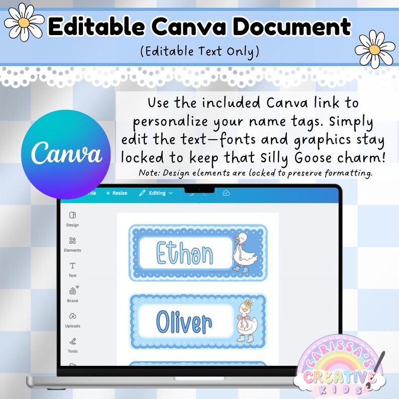 Editable Name Tags | Vintage Blue Gingham Silly Goose Theme | Daycare ...
