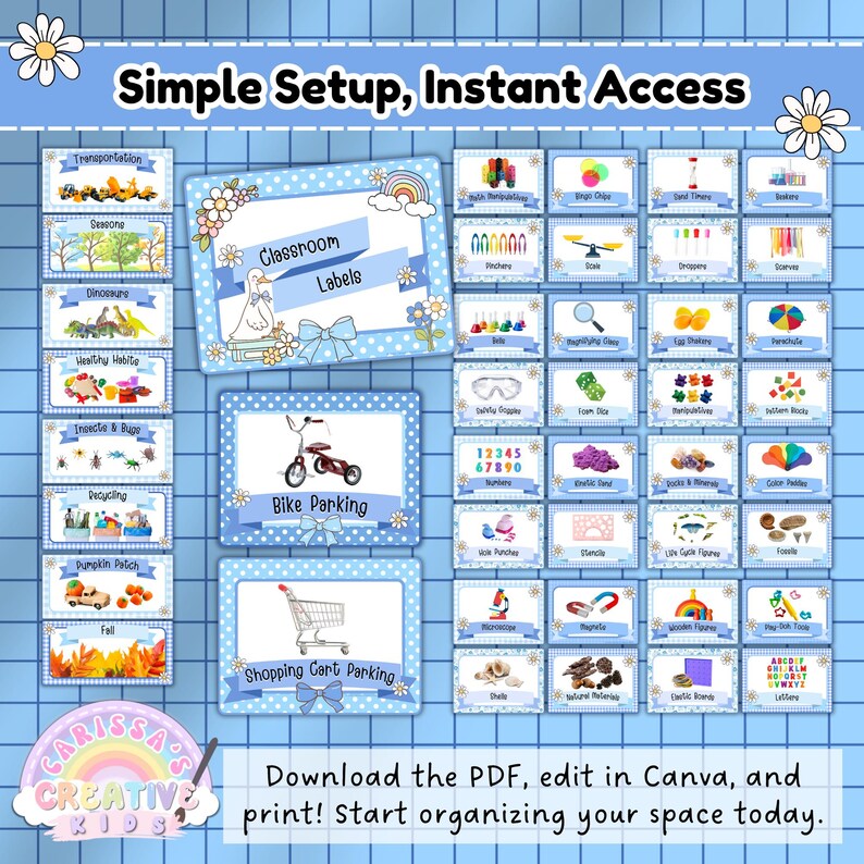 Classroom Decor Labels for Daycare & Preschool | Editable Silly Goose ...