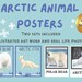Arctic Animal Educational Posters Daycare Preschool - Etsy