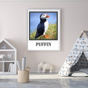Arctic Animal Educational Posters Daycare Preschool Curriculum Playroom ...