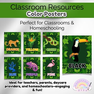 Preschool Rainforest Jungle Color Posters | Jungle Classroom Theme ...