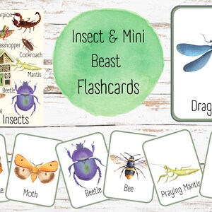 Insect Montessori Daycare Printable for Flisat Sensory Tubs | Insect ...