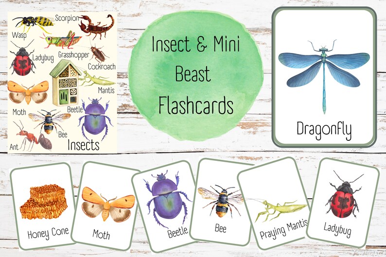 Insect Montessori Daycare Printable for Flisat Sensory Tubs - Etsy