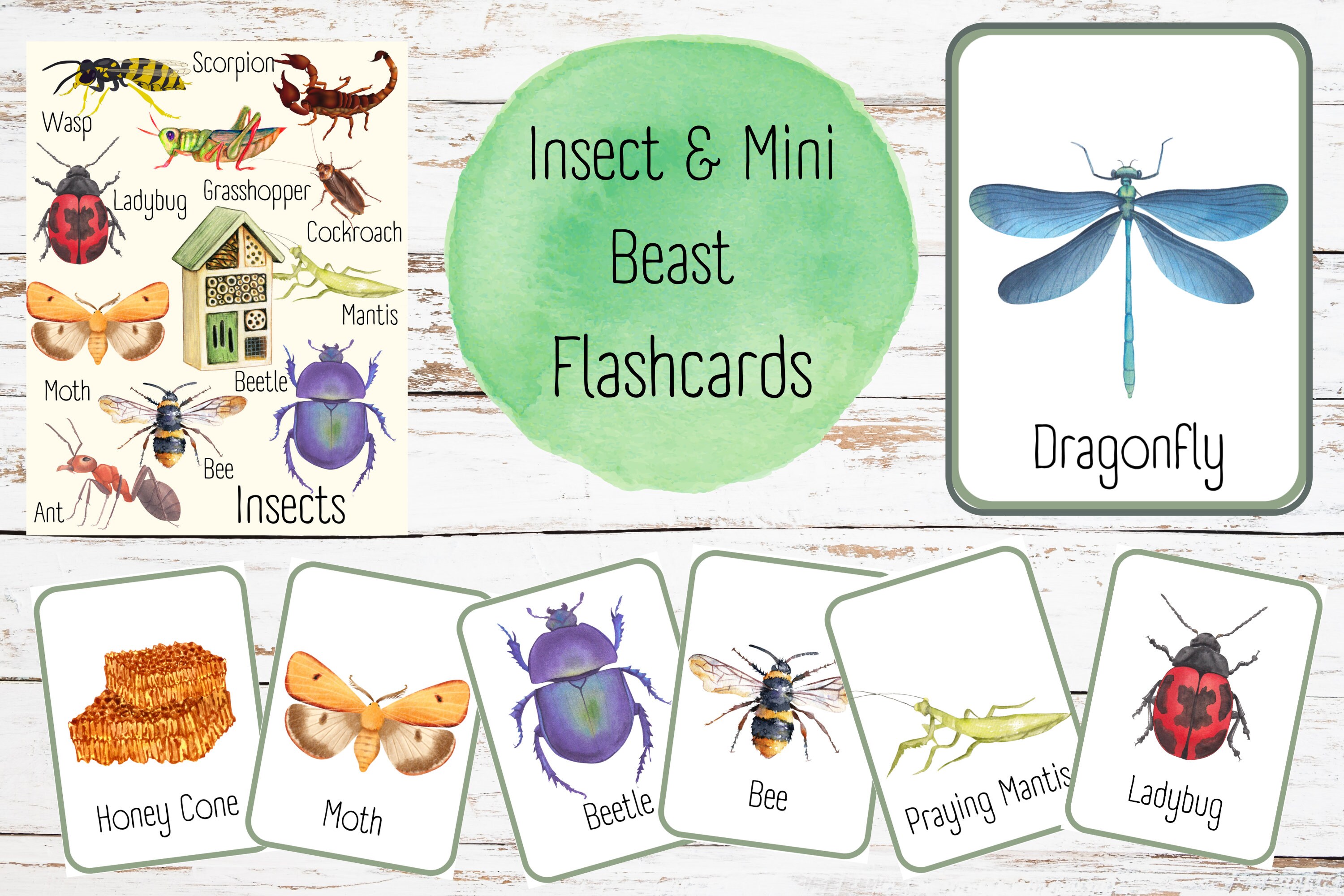 Insect Montessori Daycare Printable for Flisat Sensory Tubs - Etsy