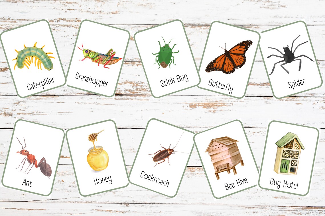 Insect Montessori Daycare Printable for Flisat Sensory Tubs - Etsy