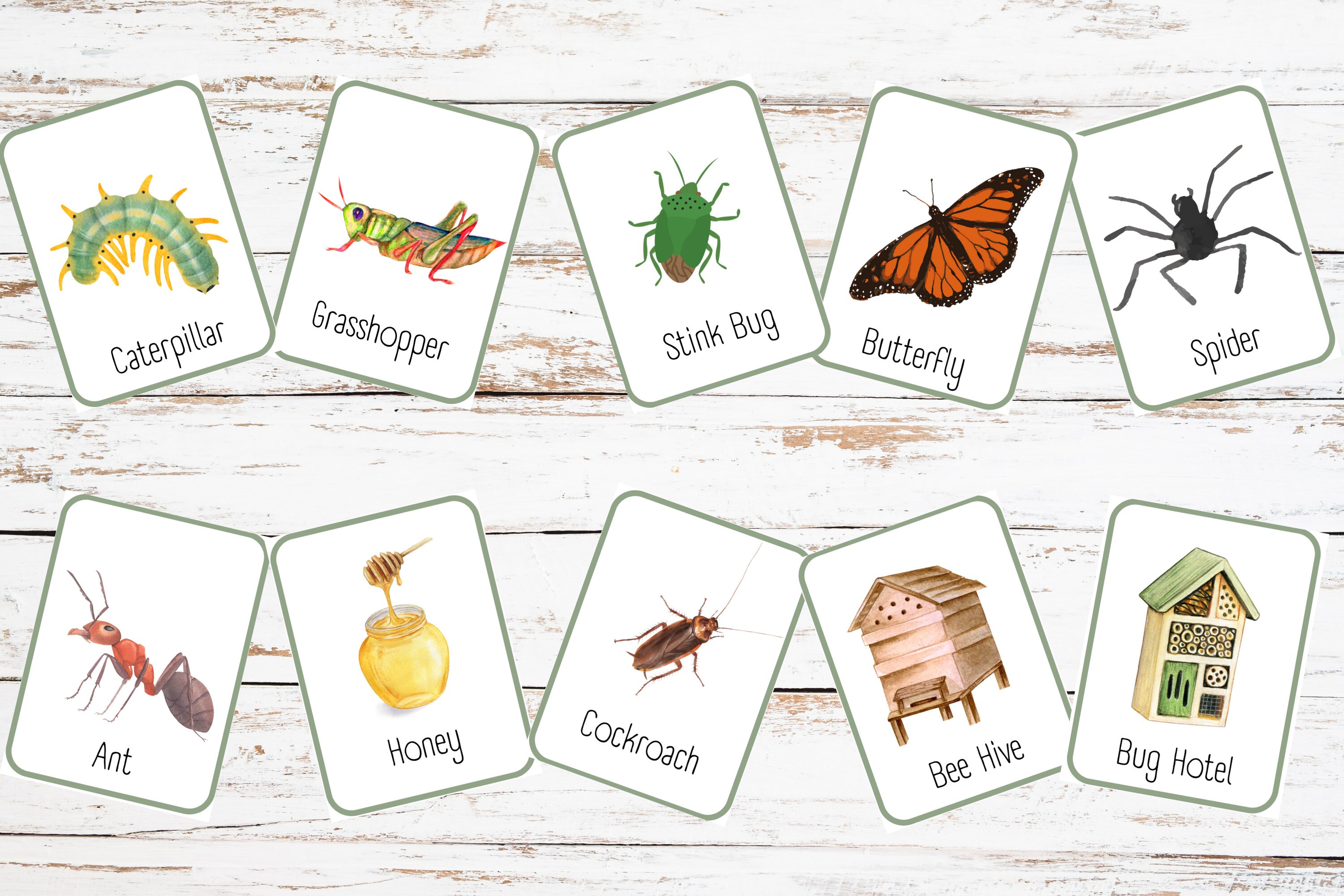 Insect Montessori Daycare Printable for Flisat Sensory Tubs - Etsy