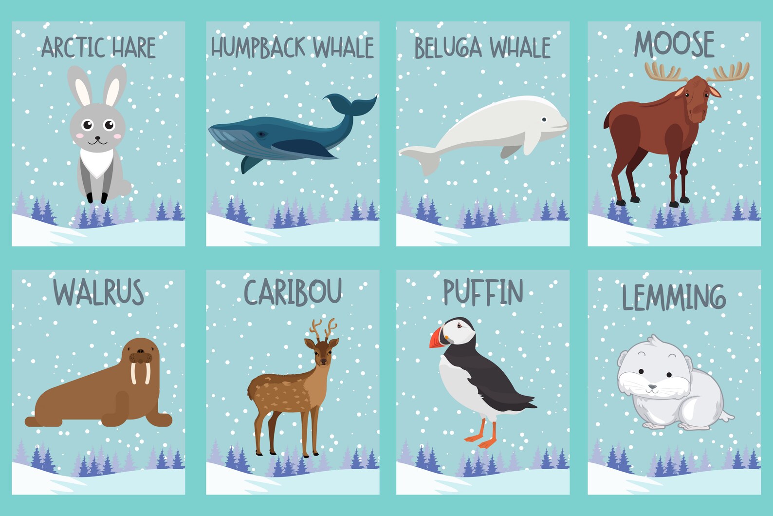 Arctic Animal Educational Posters Daycare Preschool - Etsy