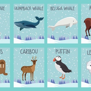 Arctic Animal Educational Posters Daycare Preschool Curriculum Playroom ...