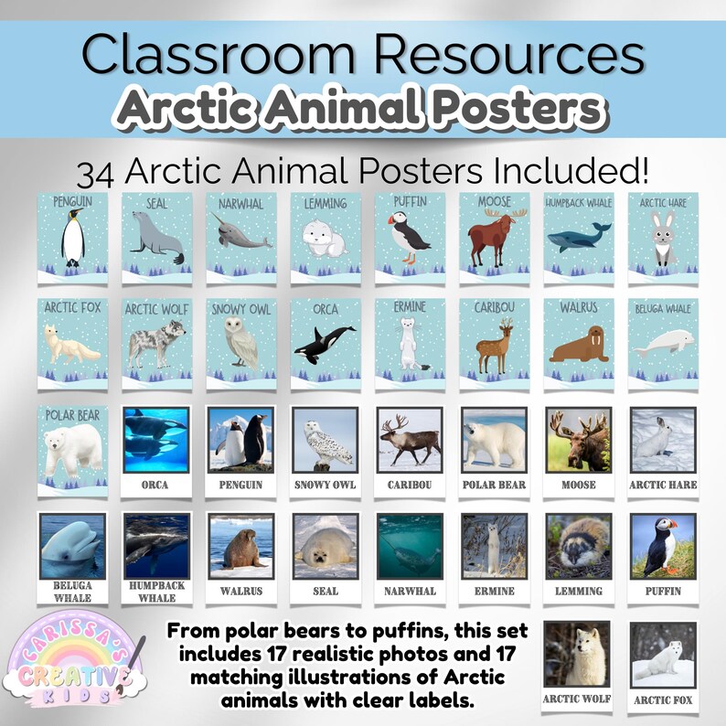 Arctic Animal Educational Preschool Posters | Polar Animals Classroom ...