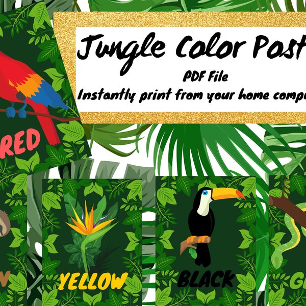 Jungle Classroom - Etsy