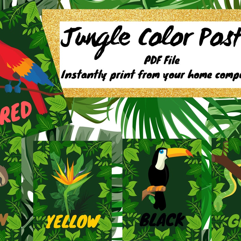 Jungle Classroom - Etsy
