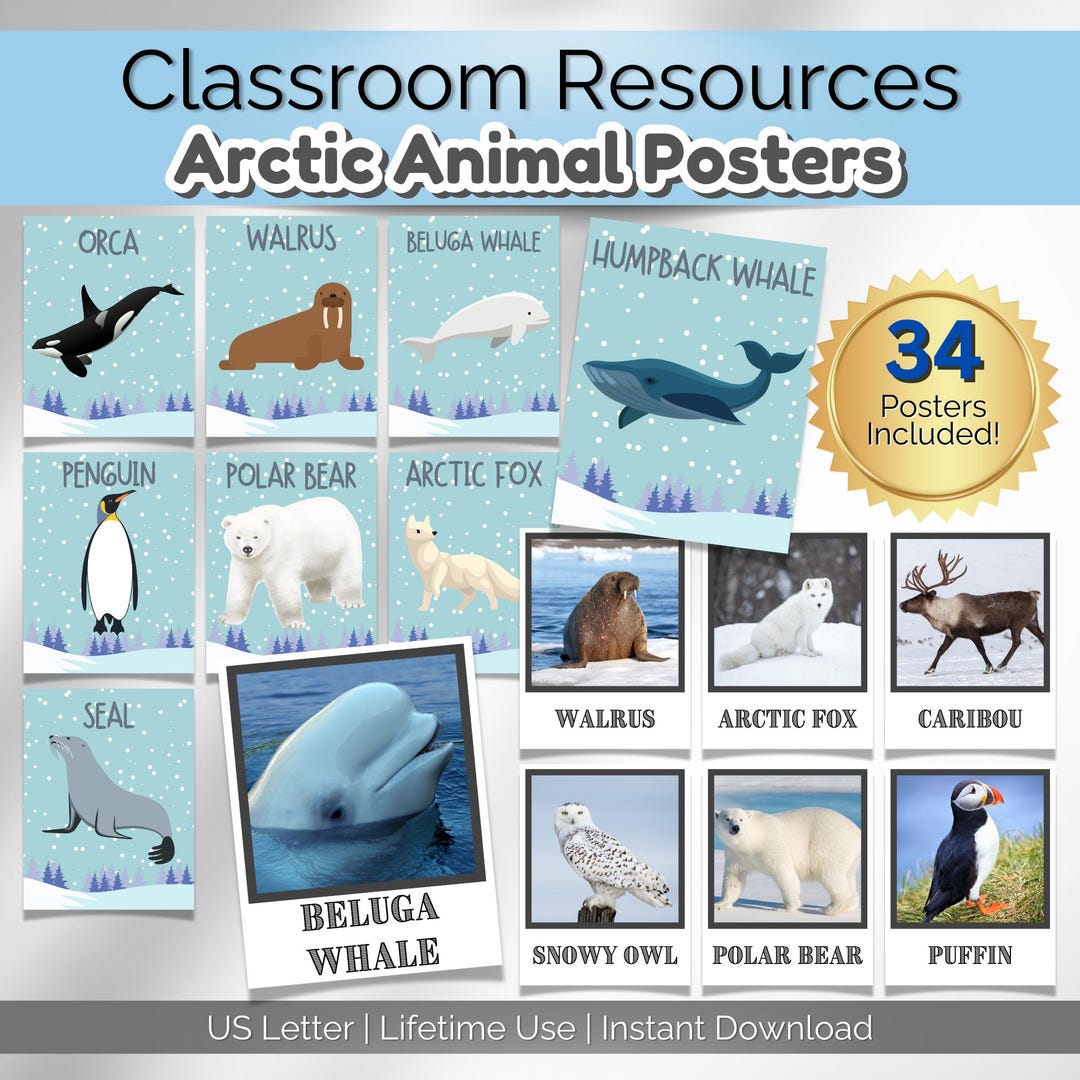 Arctic Animal Educational Preschool Posters | Polar Animals Classroom ...