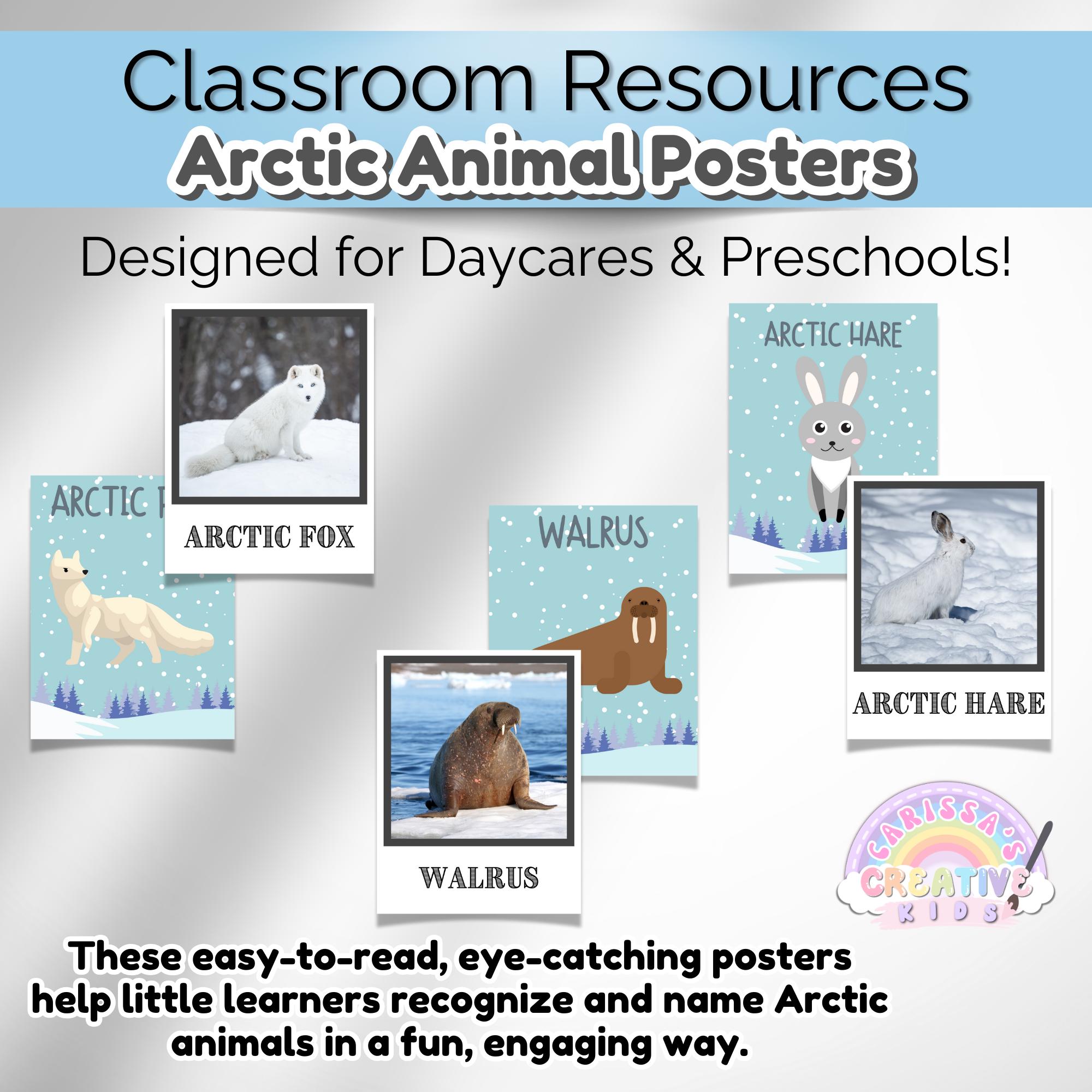 Arctic Animal Educational Preschool Posters | Polar Animals Classroom ...