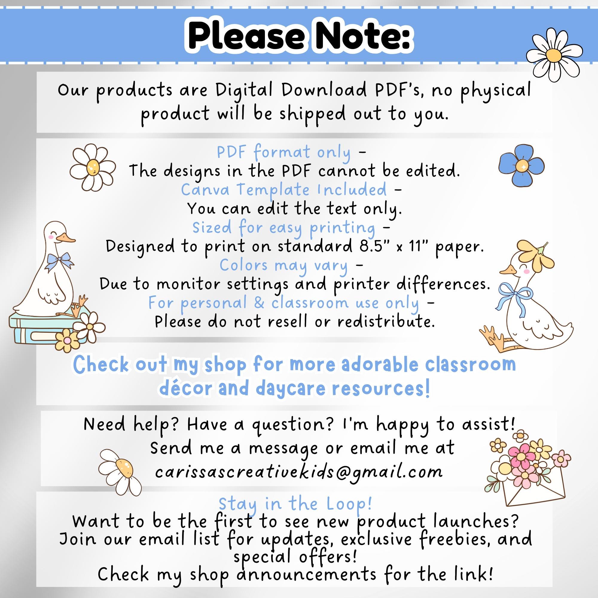 Silly Goose Visual Classroom Schedule Cards | Editable Daily Routine ...