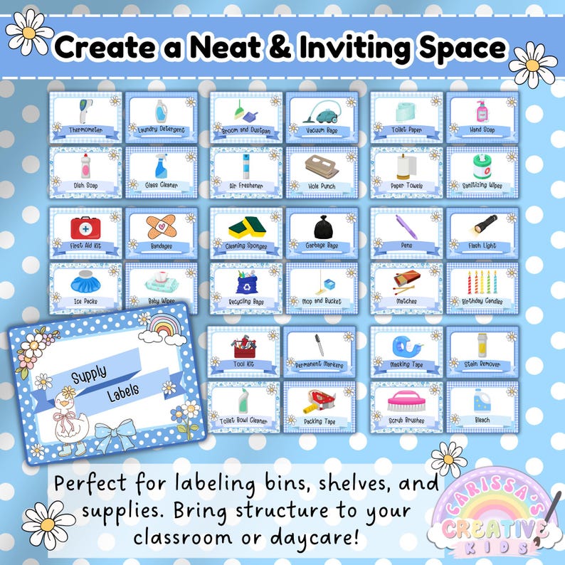 Classroom Decor Labels for Daycare & Preschool | Editable Silly Goose ...