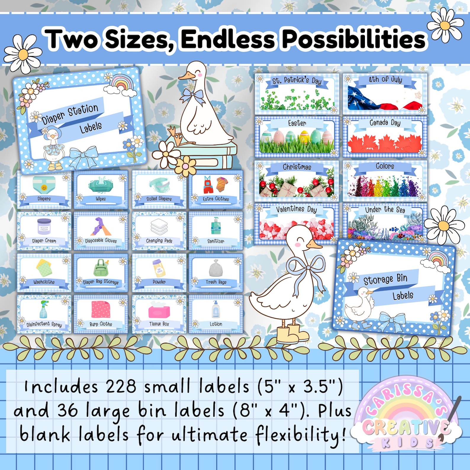 Classroom Decor Labels for Daycare & Preschool | Editable Silly Goose ...