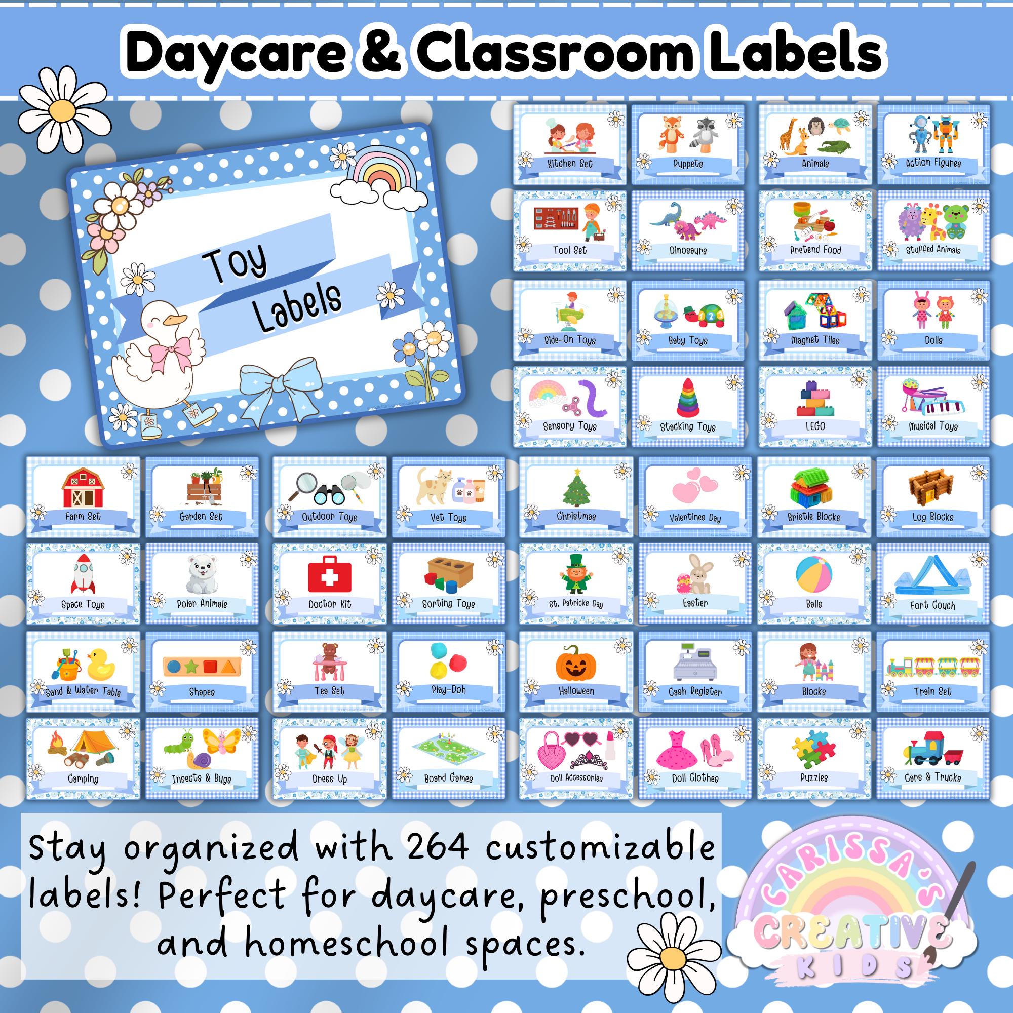 Classroom Decor Labels for Daycare & Preschool | Editable Silly Goose ...