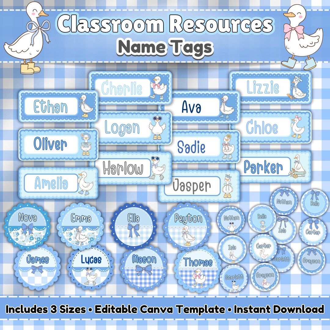 Editable Name Tags | Vintage Blue Gingham Silly Goose Theme | Daycare ...