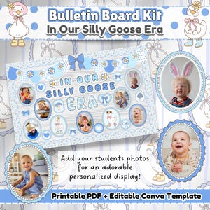 Vintage Retro Country Goose Bulletin Board Kit | Silly Goose Era ...