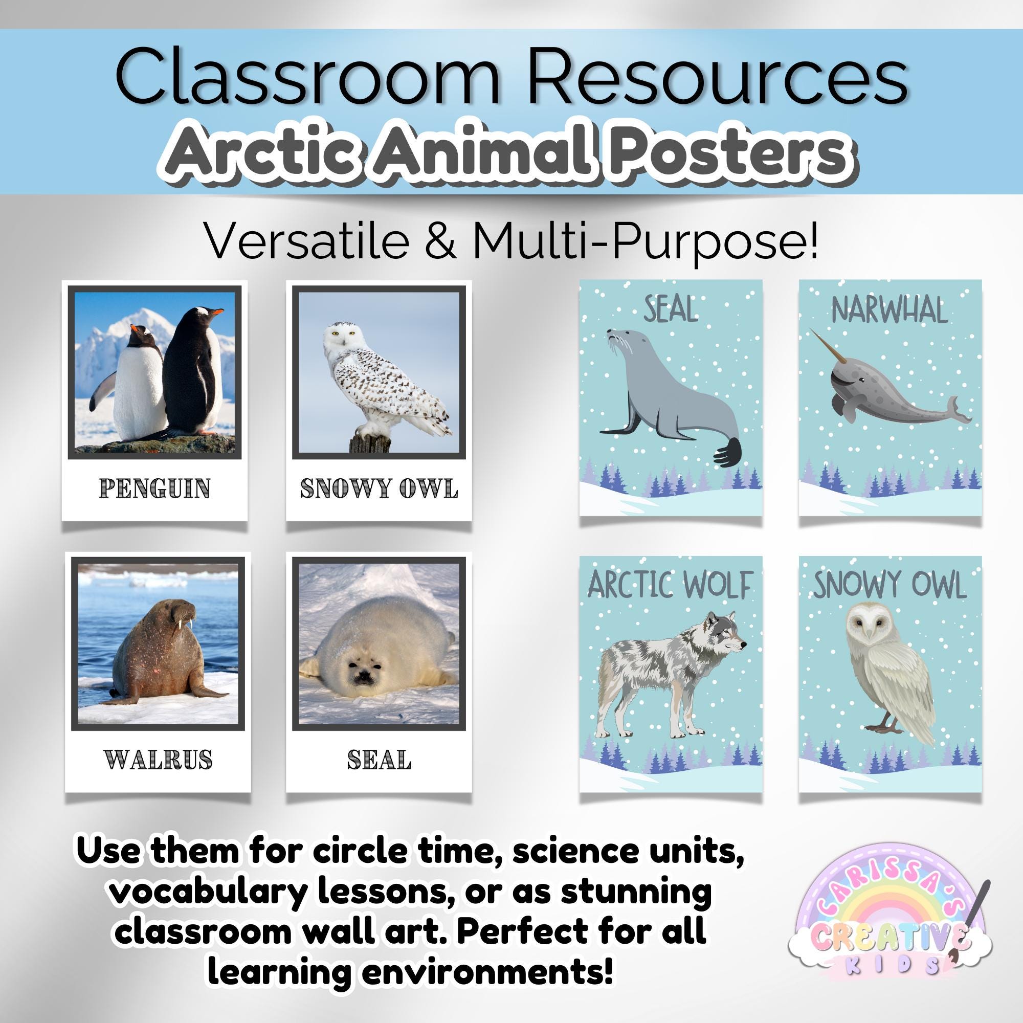 Arctic Animal Educational Preschool Posters | Polar Animals Classroom ...