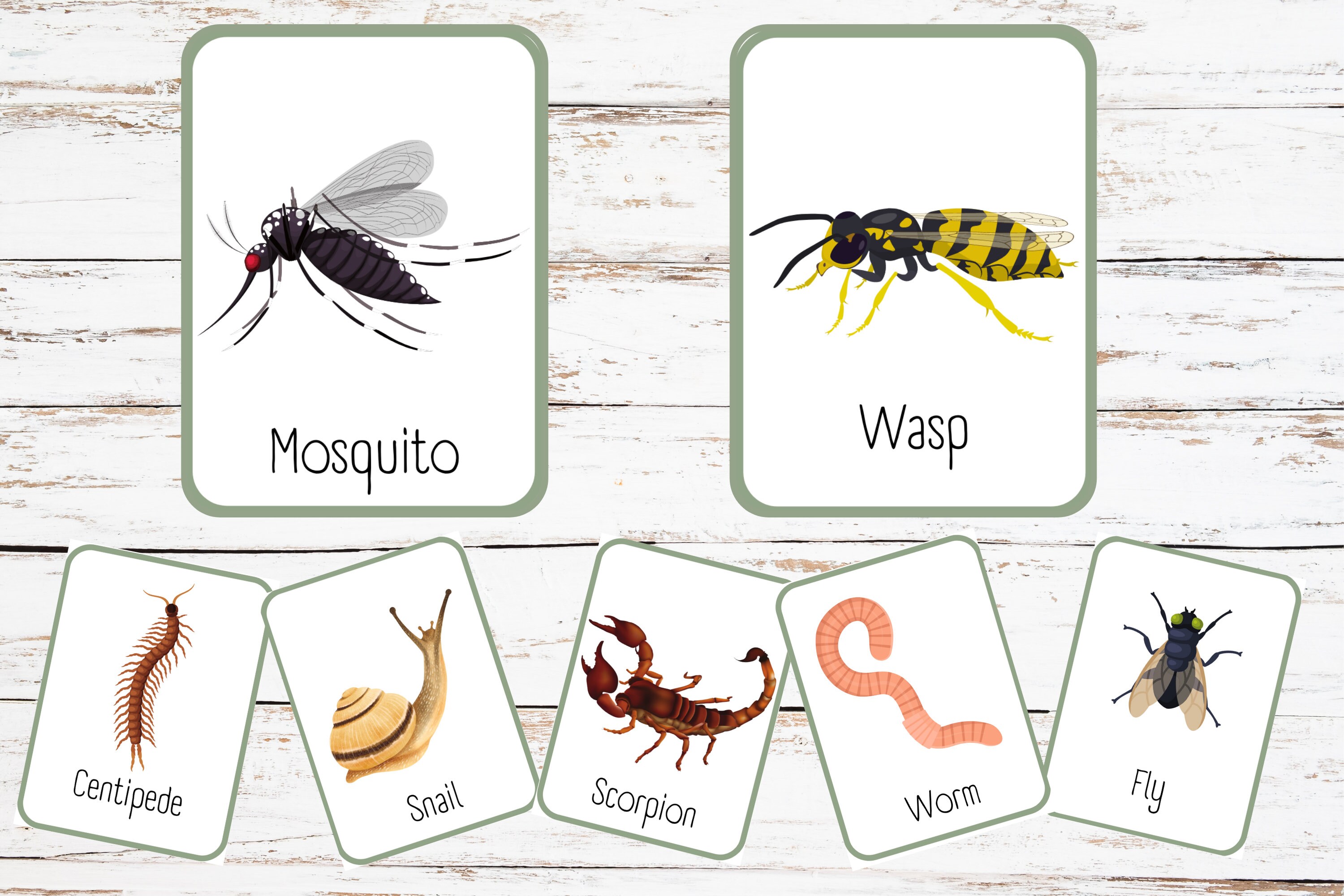 Insect Montessori Daycare Printable for Flisat Sensory Tubs - Etsy