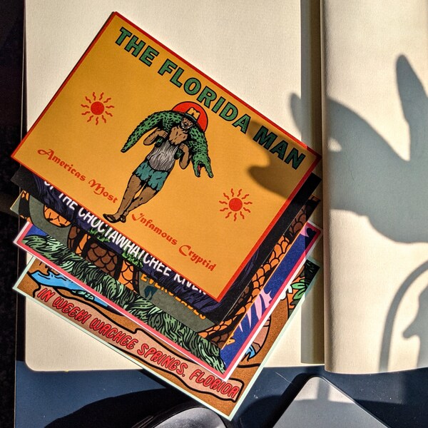 Florida Postcard - Etsy