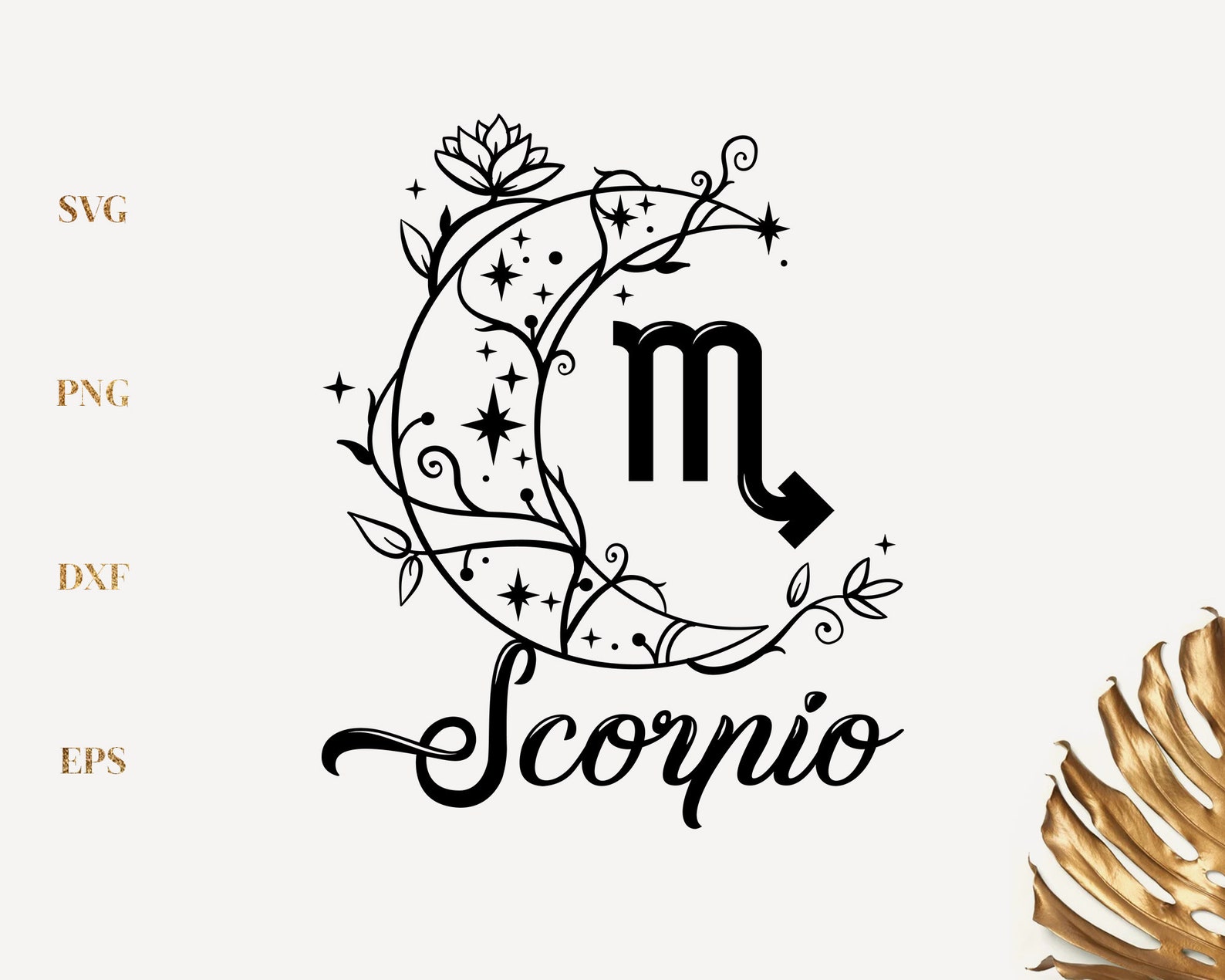 Scorpio Zodiac SVG PNG Cut File - Etsy UK