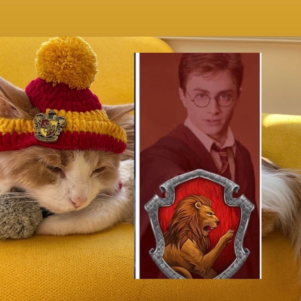 Cat Potter Costume - Etsy