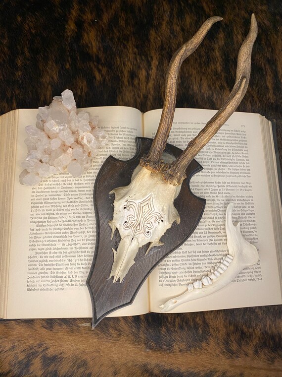 Filigree engraved deer skull | Etsy