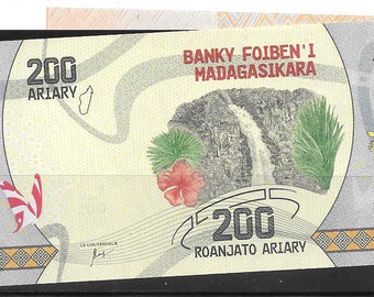 Madagascar Paper | Etsy