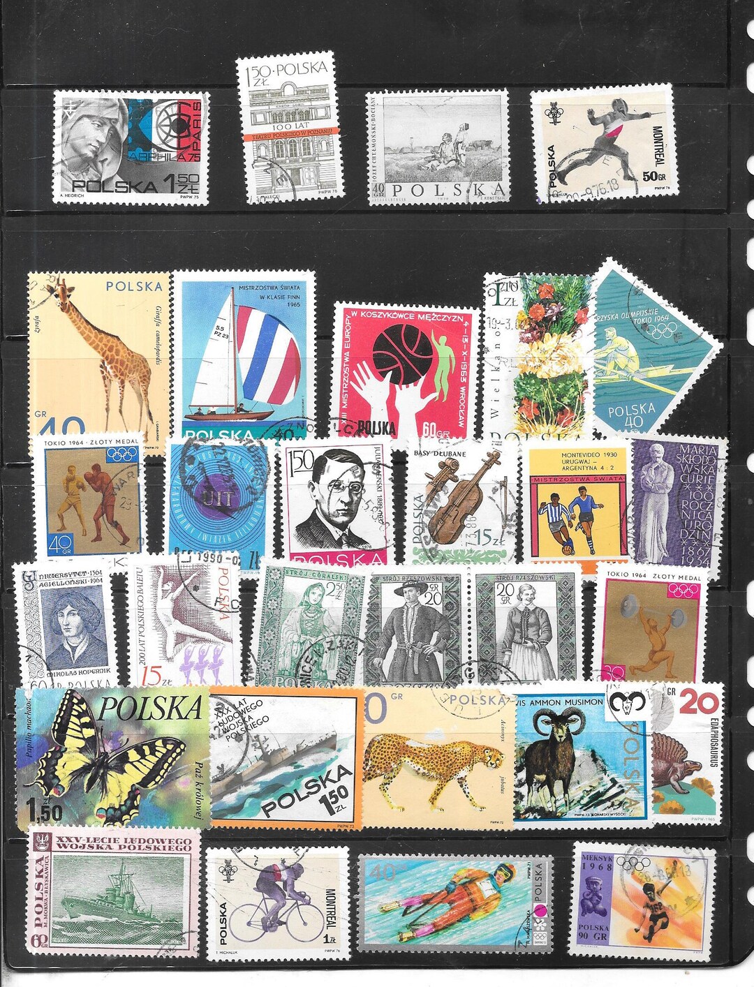 Poland 30 Different Large Pictorials Stamp Collection Lot Packet - Etsy