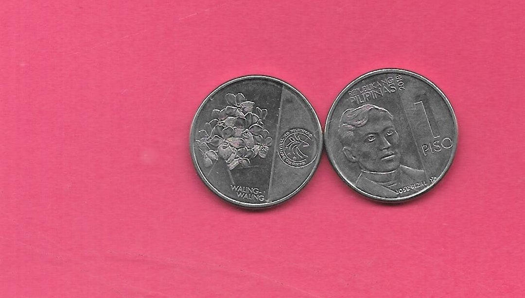 PHILIPPINES KM300 2019 PISO Xf-au Circulated New Modern Excellent COIN - Etsy