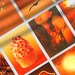 100 PCS 8.5''x11'' Neon Orange Wall Collage - Etsy