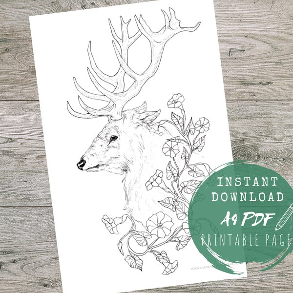 Deer Colouring - Etsy
