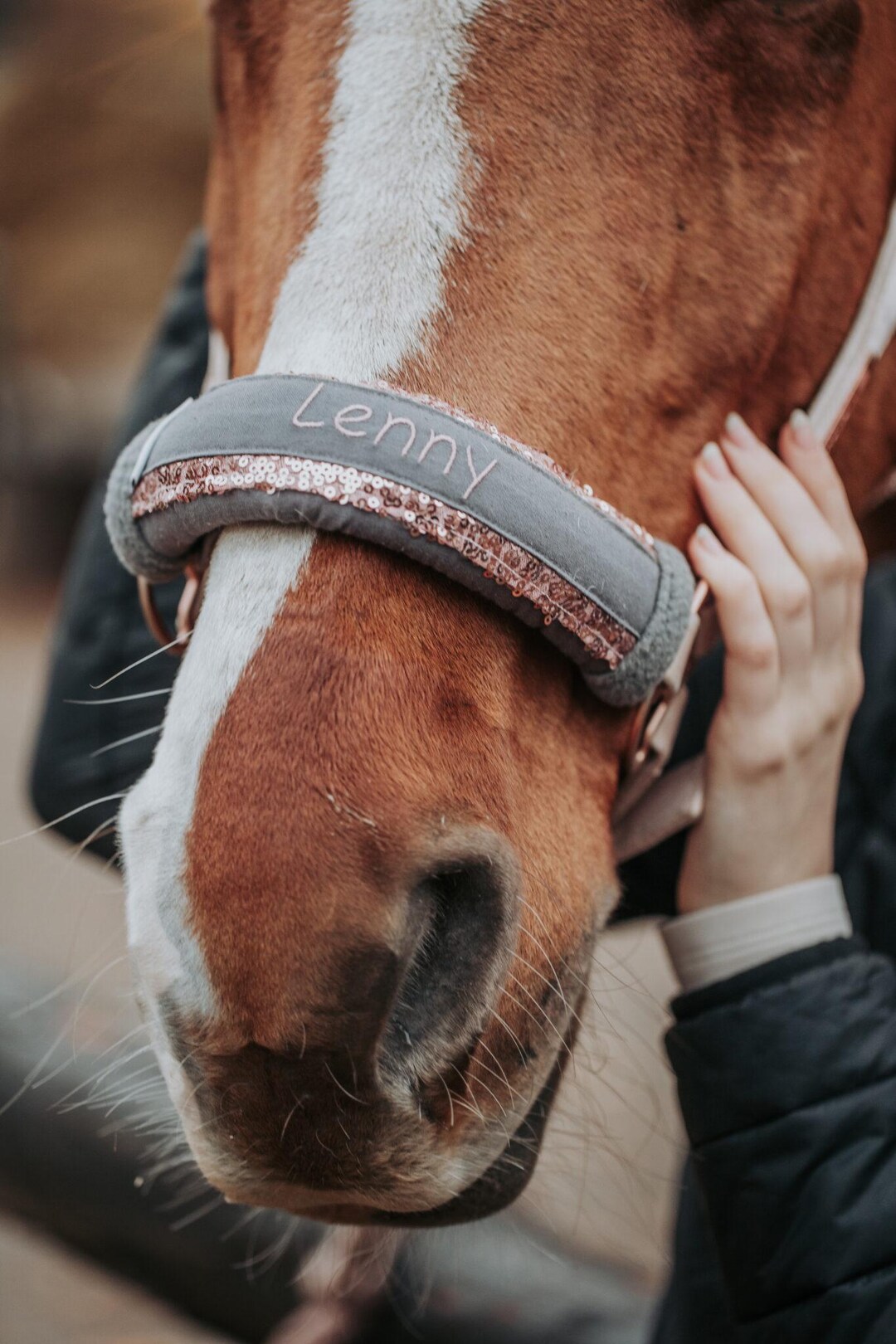 Personalized Halter Cover With Embroidered Name | Noseband for Horse ...