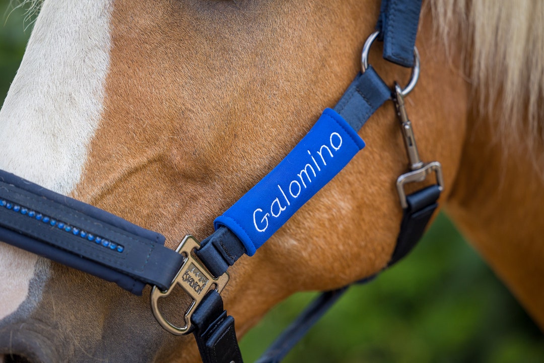 Halter Label With Name, Halter Pad, Halter Personalized With Horse Name ...