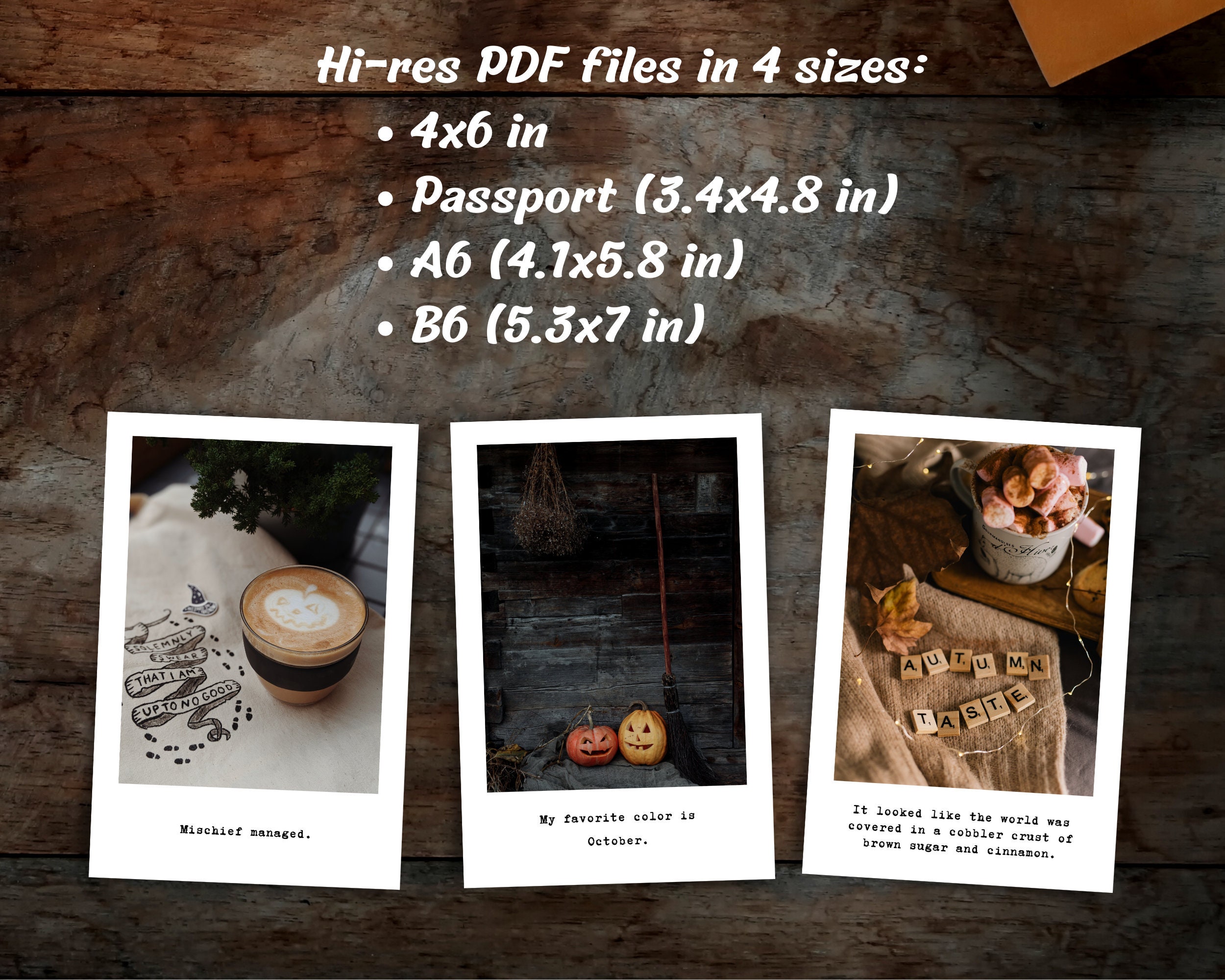 Autumn Aesthetic Polaroid Photo Cards, Journal Prompt Cards, Travelers ...