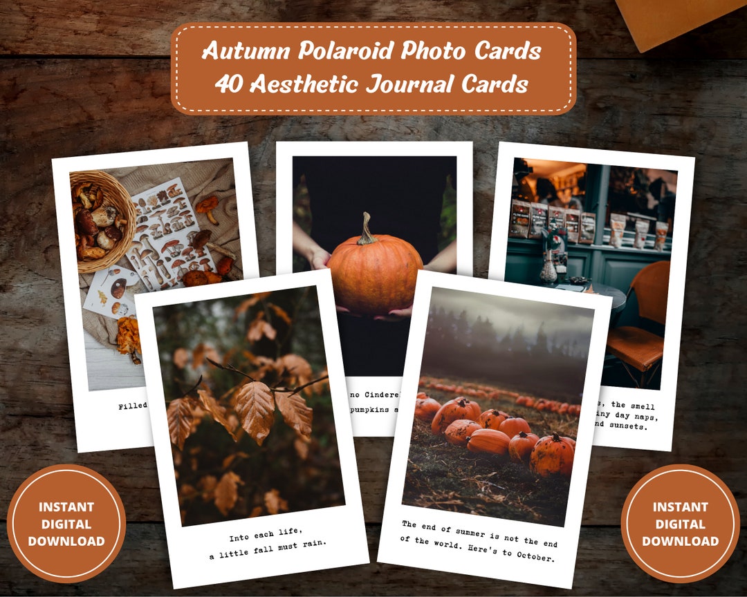 Autumn Aesthetic Polaroid Photo Cards, Journal Prompt Cards, Travelers ...