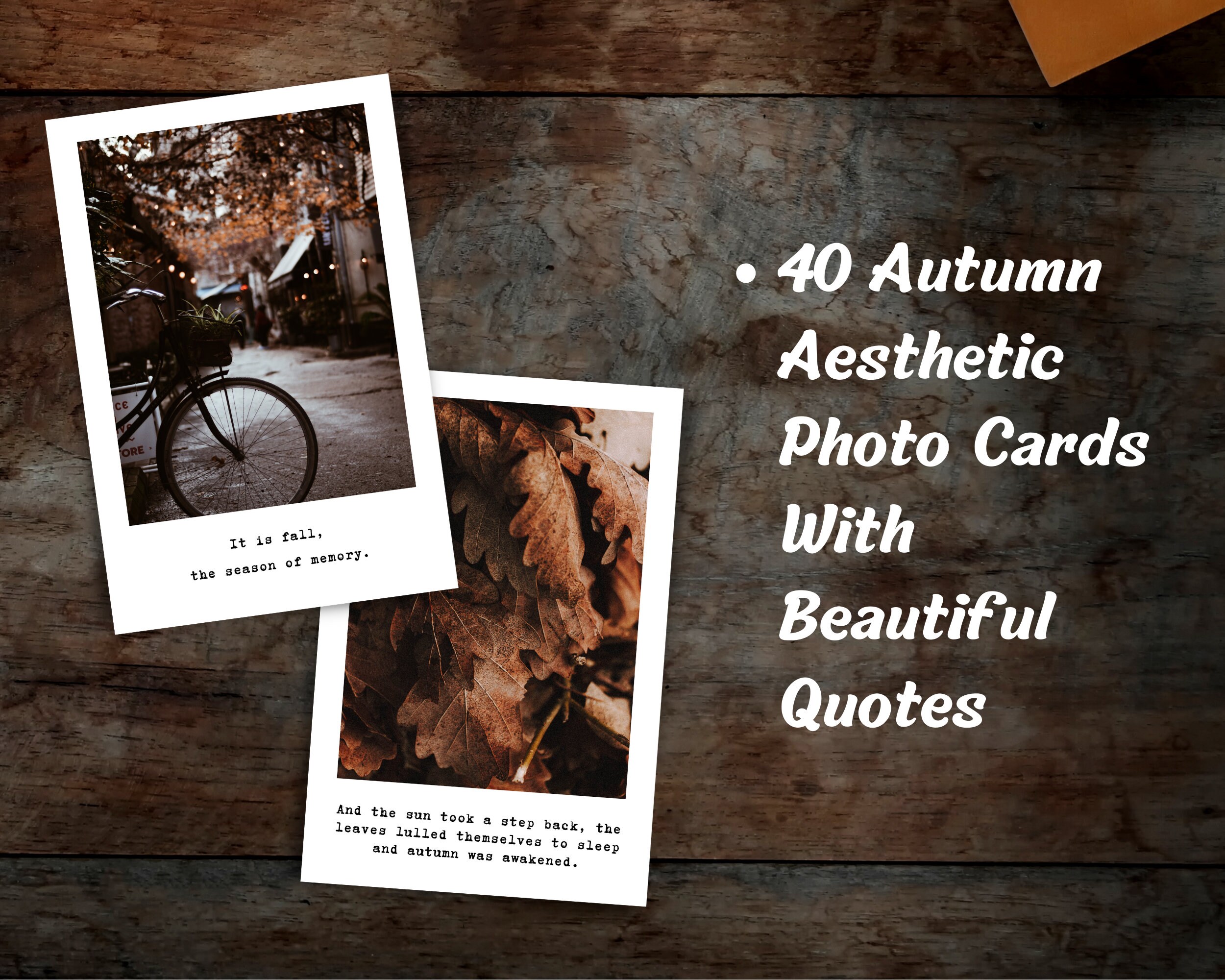 Autumn Aesthetic Polaroid Photo Cards, Journal Prompt Cards, Travelers ...