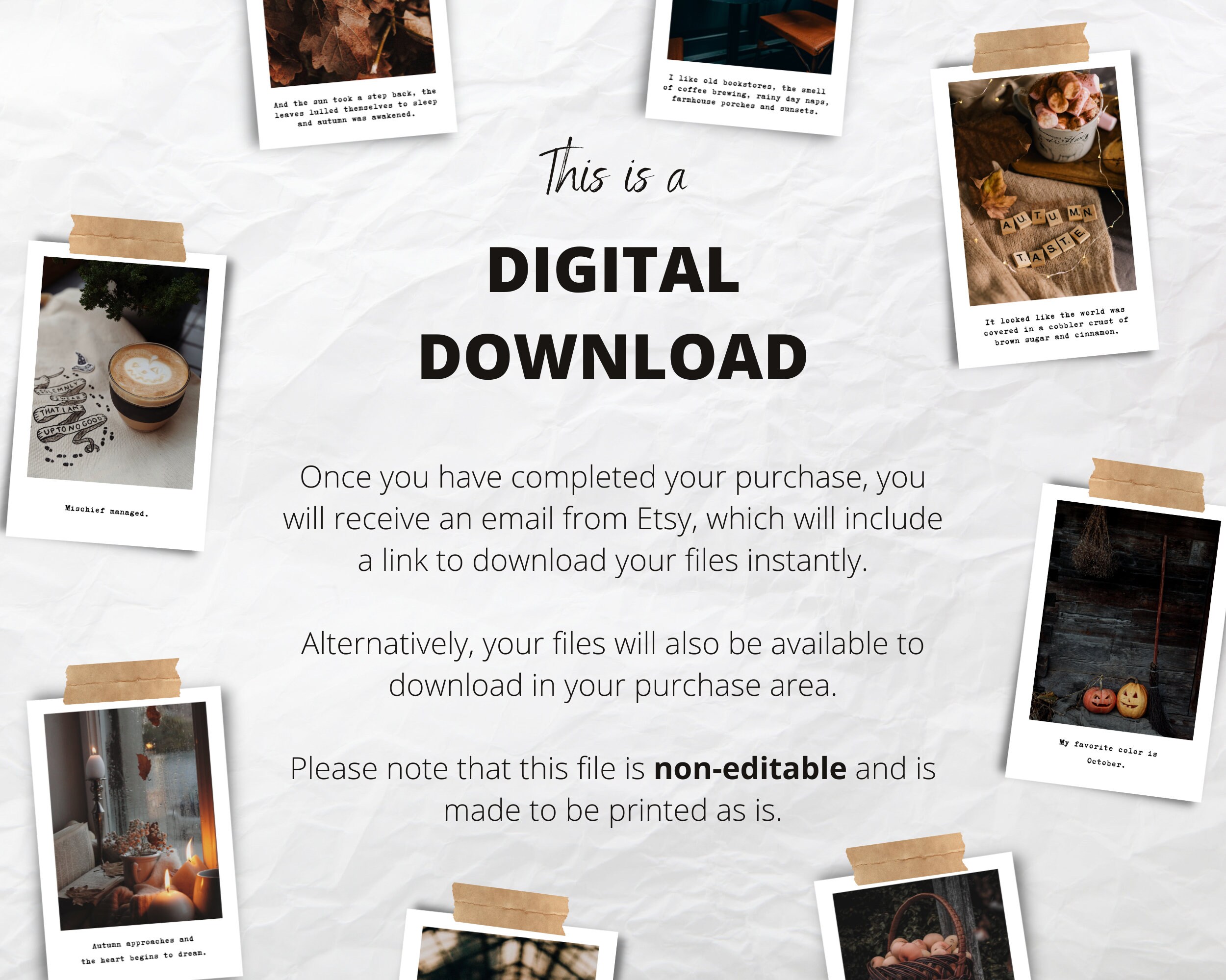 Autumn Aesthetic Polaroid Photo Cards, Journal Prompt Cards, Travelers ...