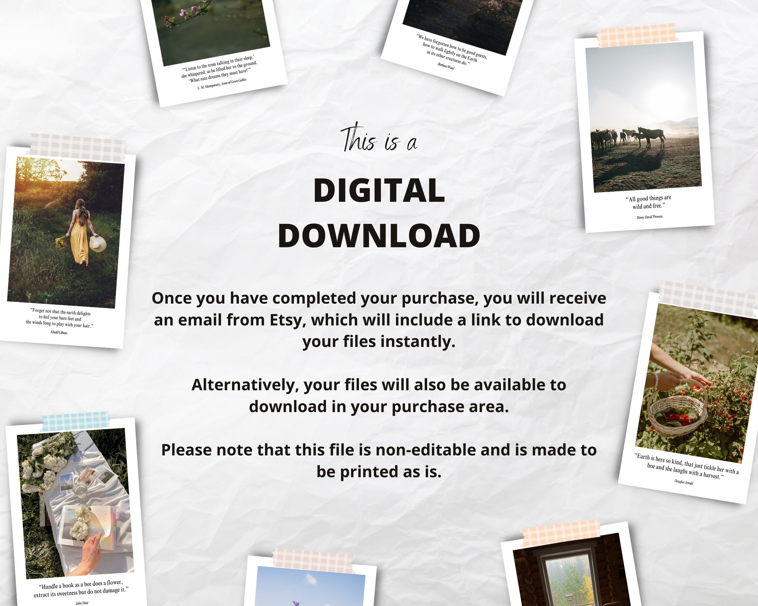 Cottagecore Journal Cards Cottage Core Polaroid Picture - Etsy