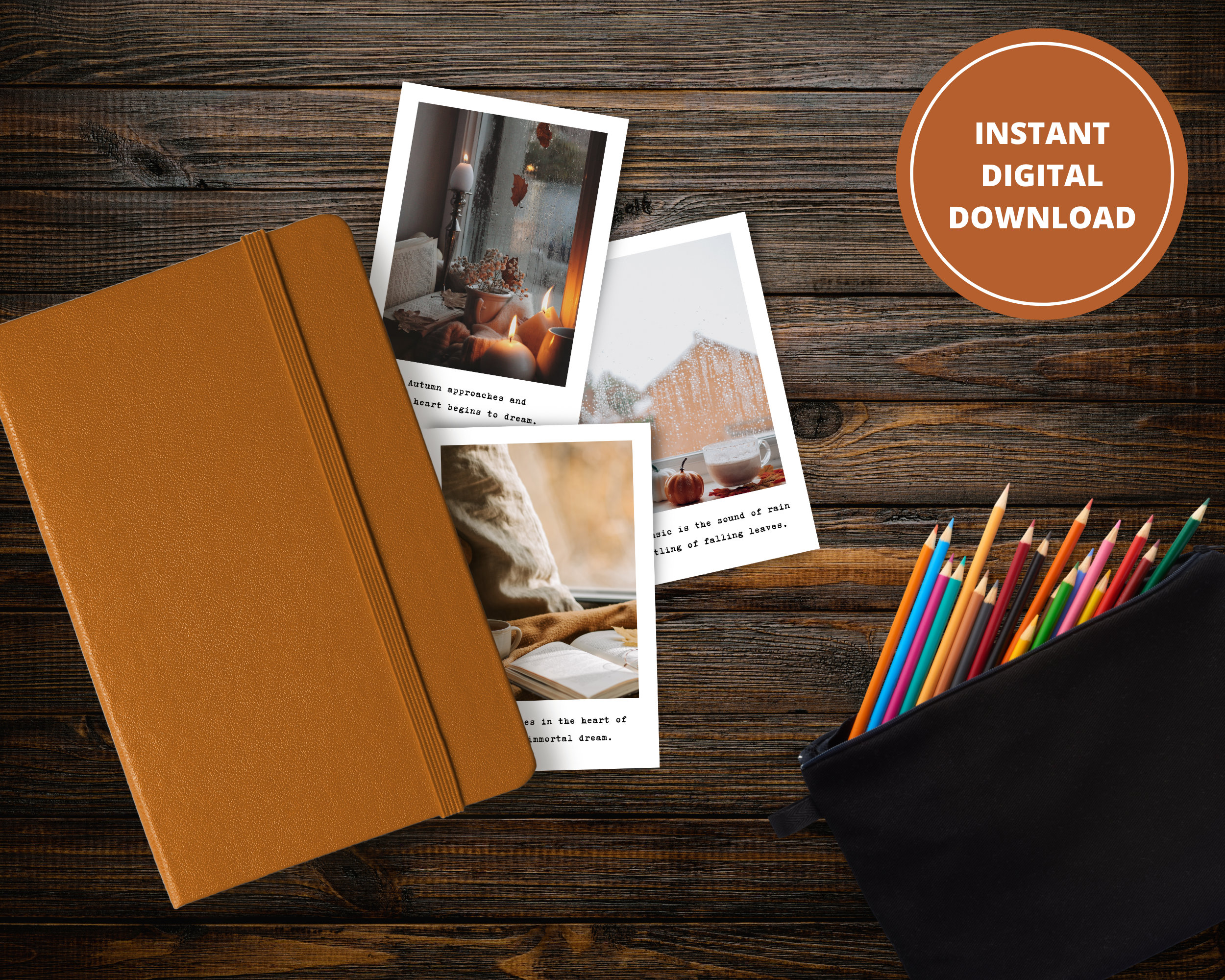 Autumn Aesthetic Polaroid Photo Cards, Journal Prompt Cards, Travelers ...