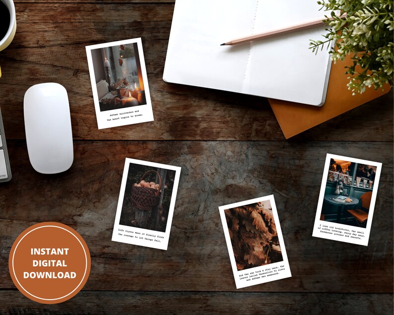 Autumn Aesthetic Polaroid Photo Cards, Journal Prompt Cards, Travelers ...