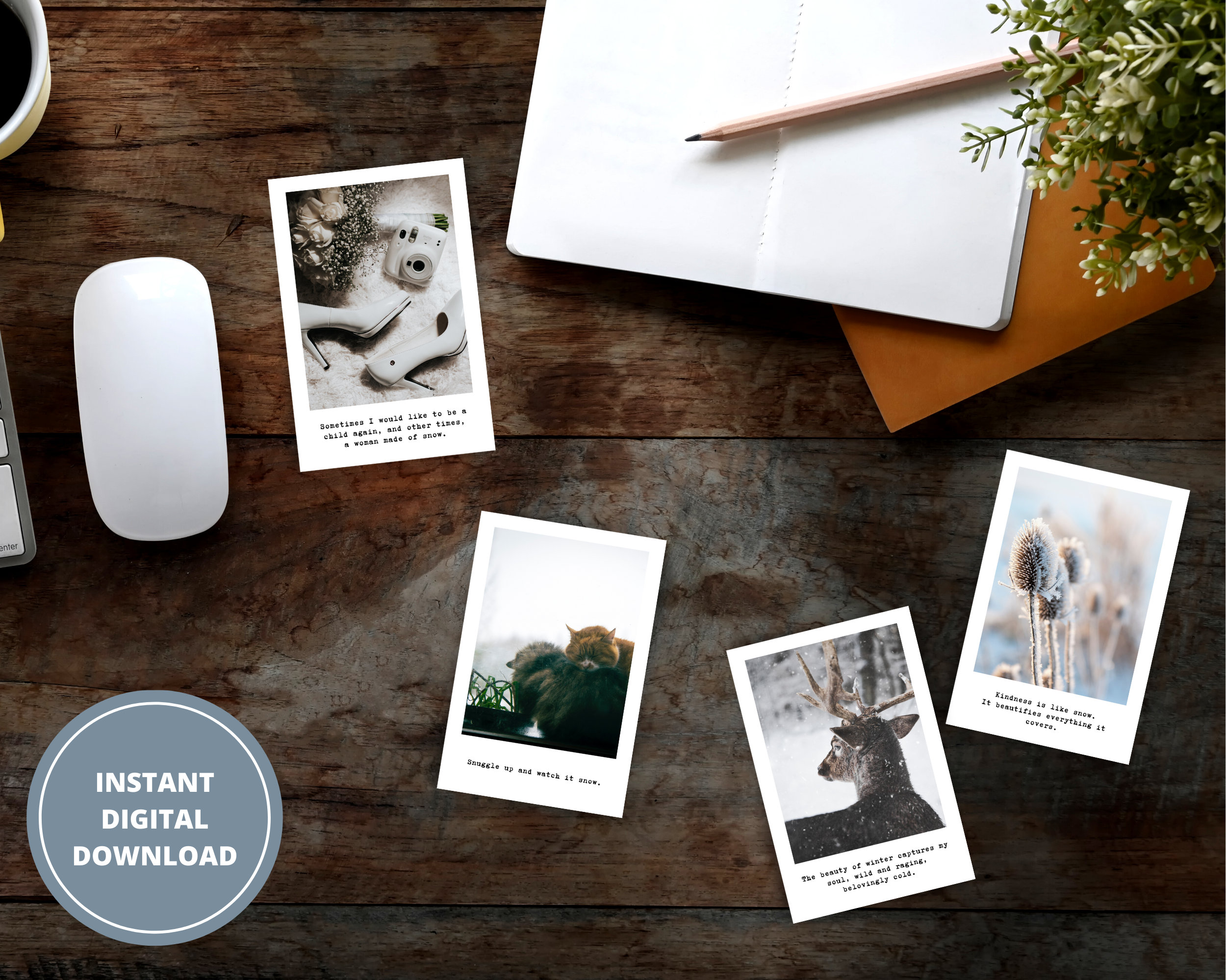 Winter Aesthetic Polaroids, Winter Photography Polaroid Prints, Winter ...