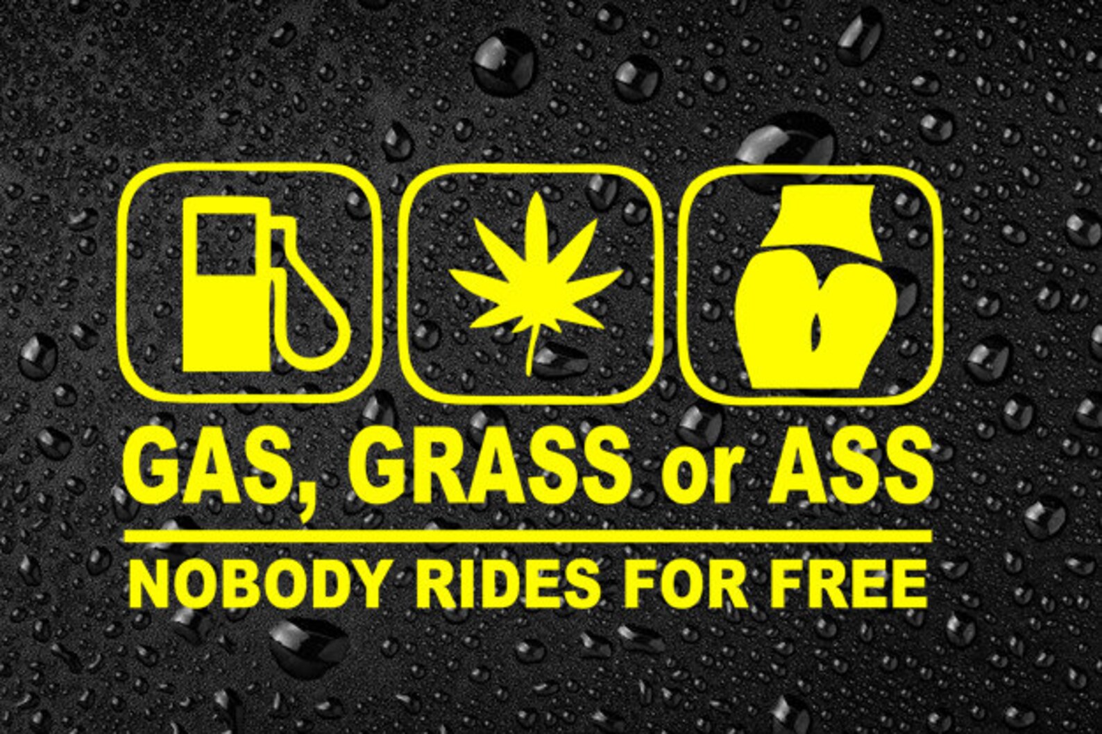 GAS GRASS or ASS Camper Van Sticker Car Caravan Vinyl - Etsy