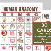 Anatomy Printable Guessing Game Insert Cards - Etsy Canada