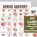 Human Anatomy, Human Body Bingo Game, Human Organs, Digital Downloads ...