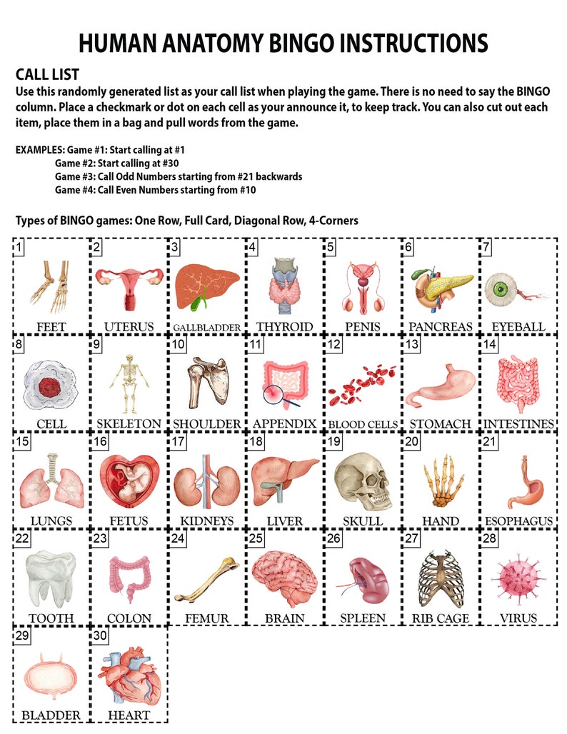 Human Anatomy Human Body Bingo Game Human Organs Digital - Etsy