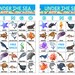 Under the Sea Bingo Game, Summer and Beach Fun, Summer Fun Games for ...